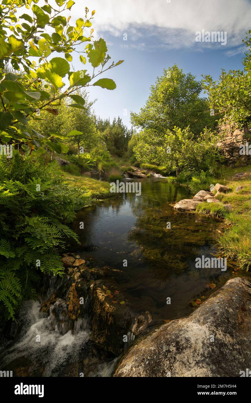 Folon and picon hi-res stock photography and images - Alamy