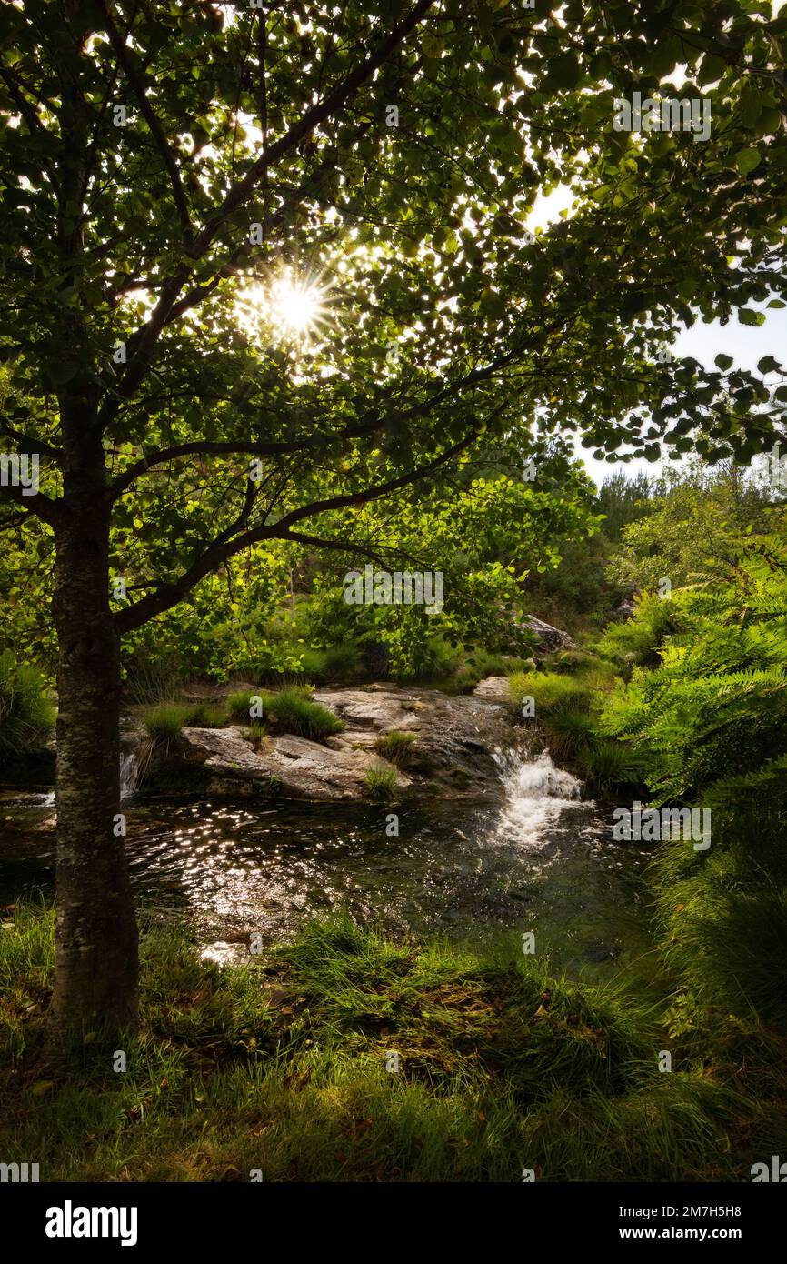 Natural Pool in Cal river, on the top of Folón an Picón trail Stock ...