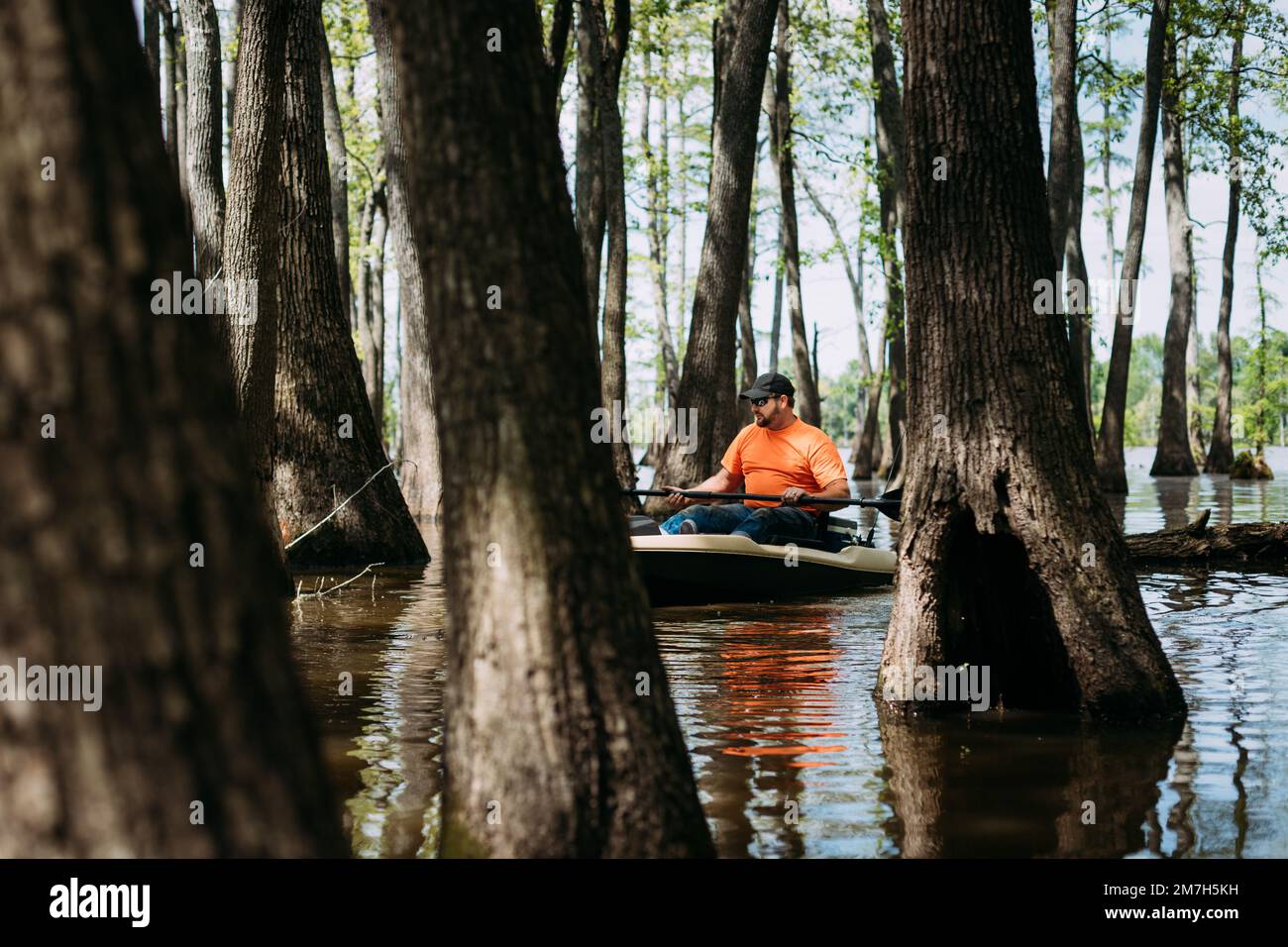 Cypress trees kayaker hi-res stock photography and images - Alamy