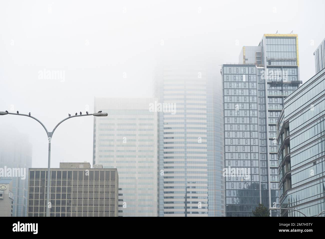 Modern City Skyscrapers in Fog with Birds on Lamp Post in Seattle, WA ...