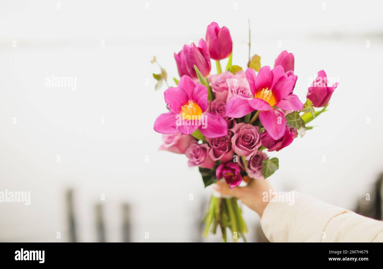 Flowers Plants during sunset pretty Stock Photo - Alamy