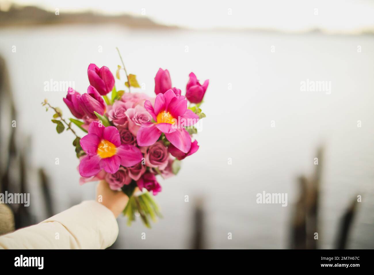 Flowers Plants during sunset pretty Stock Photo - Alamy