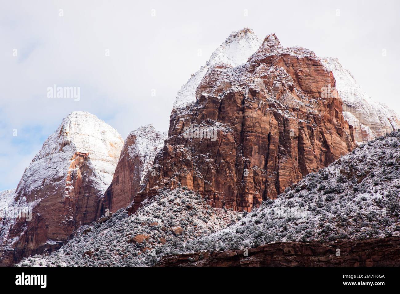 Winter snowfall in Zions National Park, Utah, USA. This magnificent ...