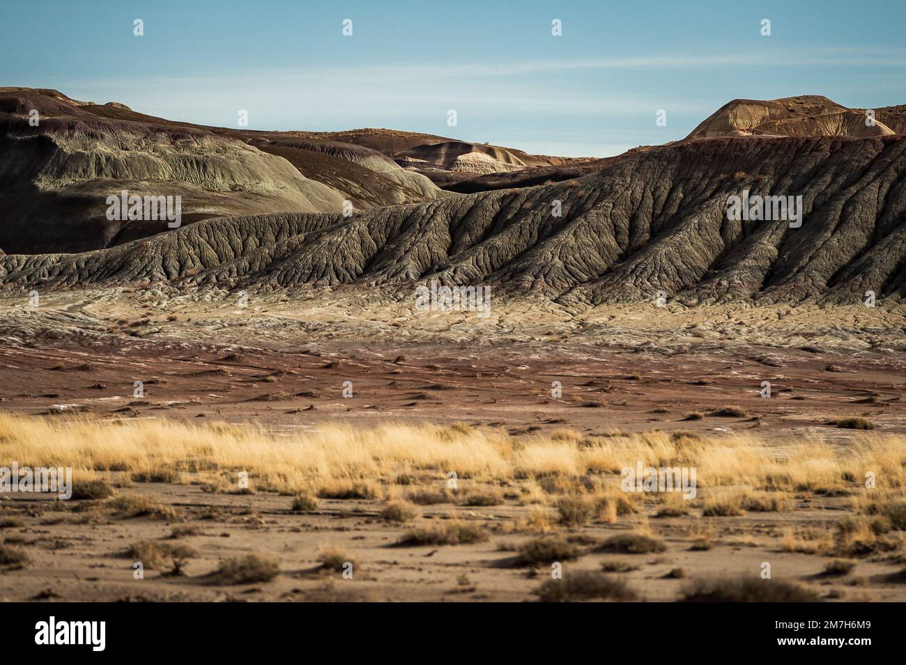 Petrified Forrest National Park Stock Photo - Alamy
