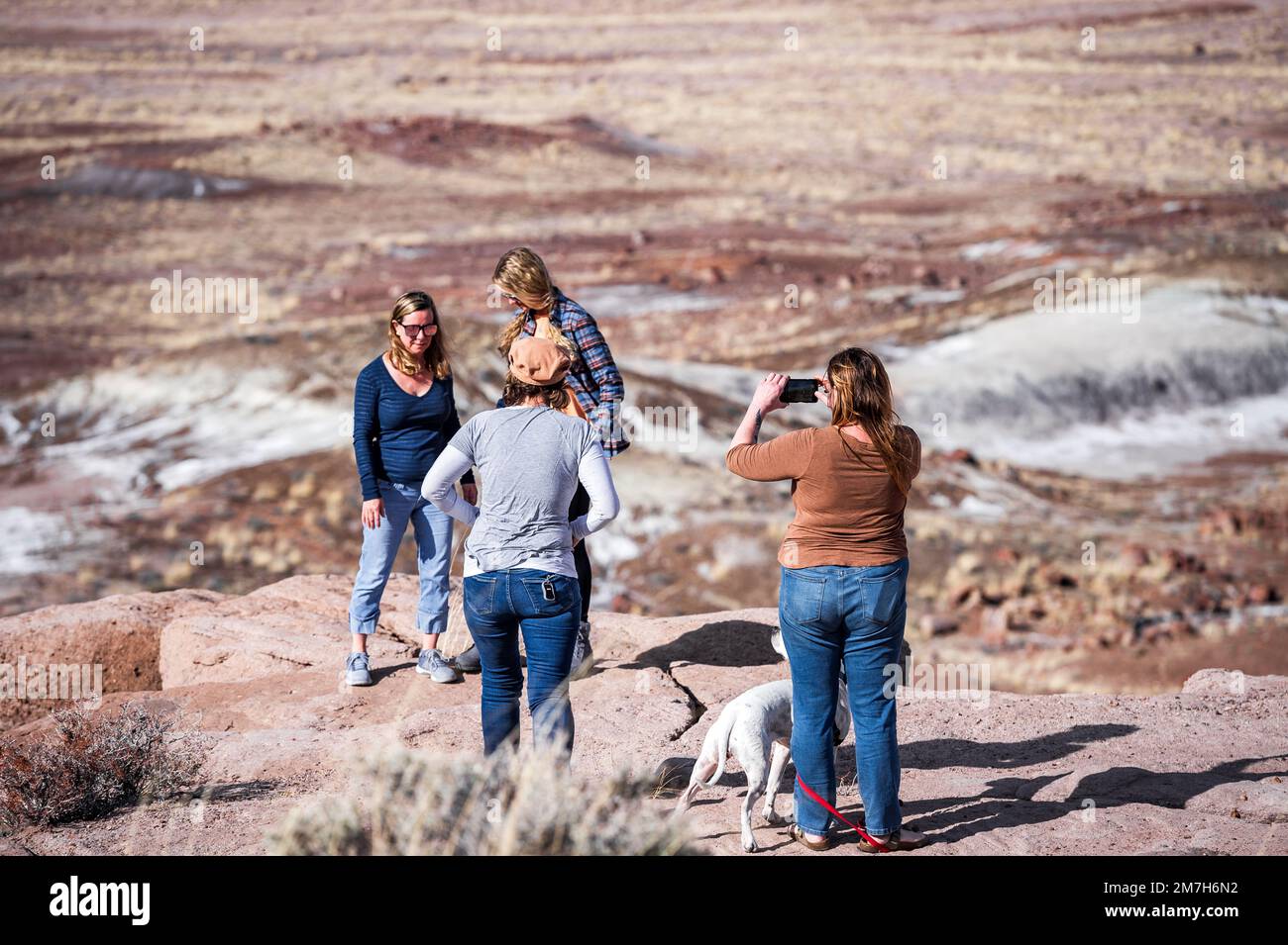 Petrified Forrest National Park Stock Photo - Alamy
