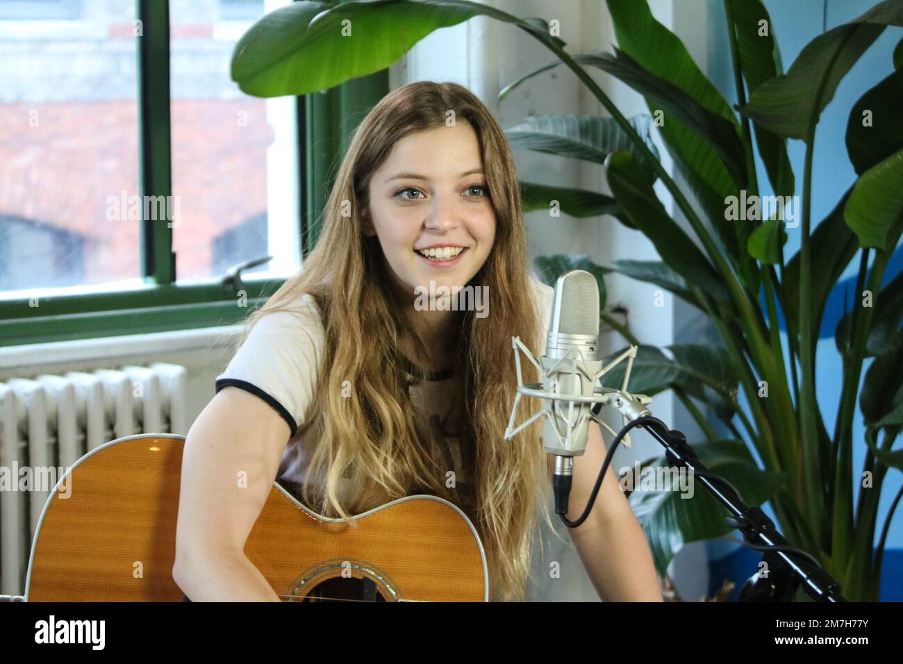 Jade bird hi-res stock photography and images - Alamy