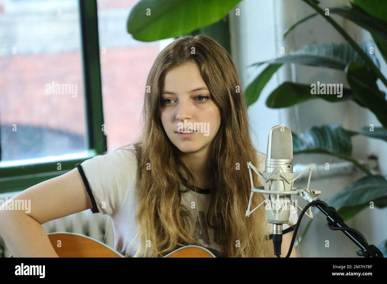 Jade bird hi-res stock photography and images - Alamy