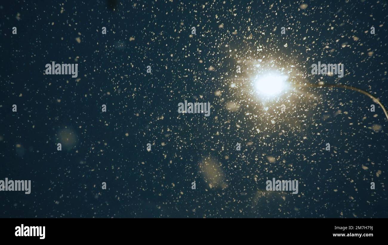 Heavy snowfall. Snowflakes fall from the sky against the background of ...