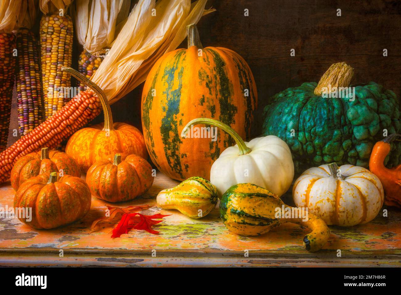Indian Corn, Pumpkins And Gourds Stock Photo - Alamy