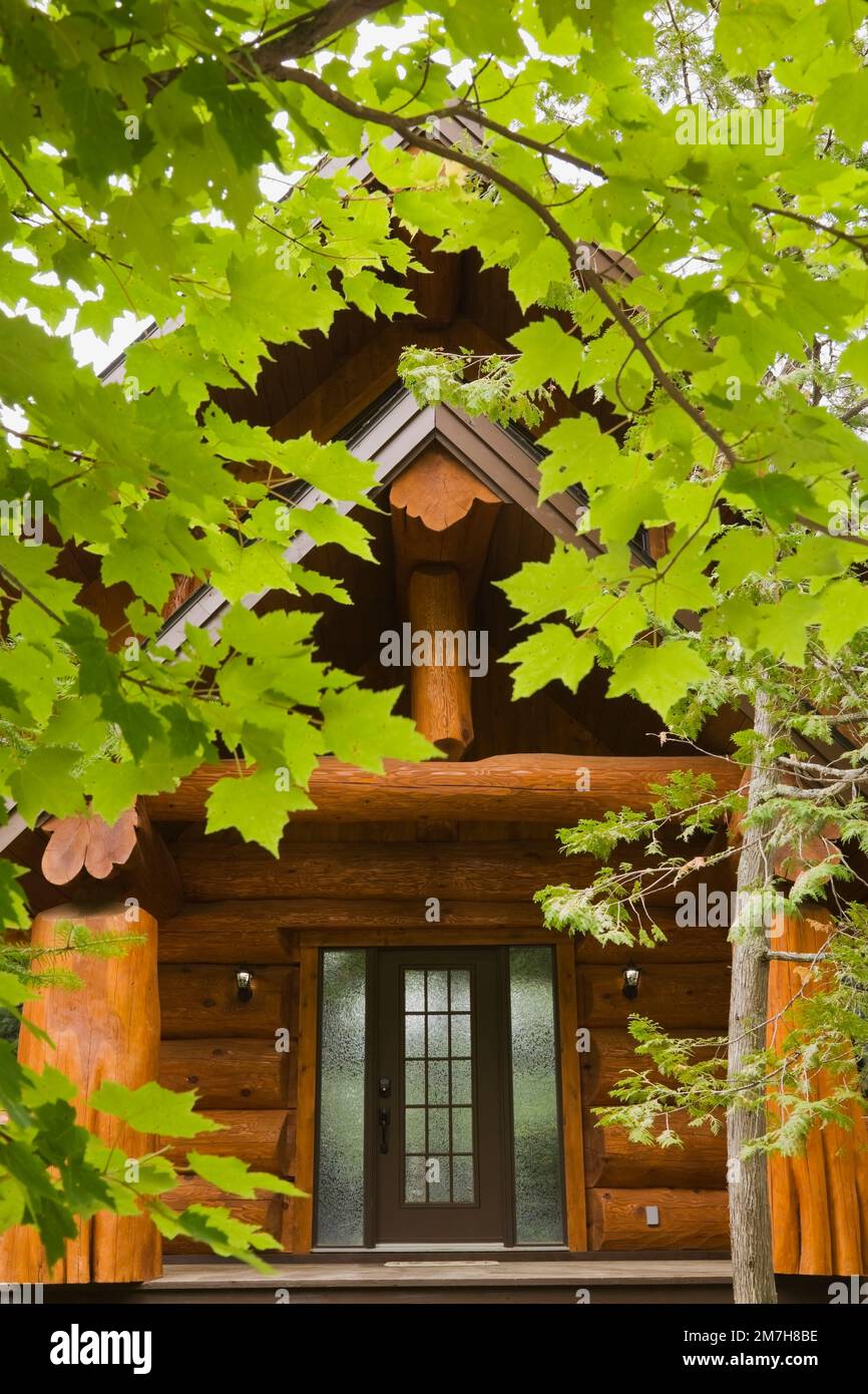 Handcrafted red cedar log home facade through maple tree leaves in ...