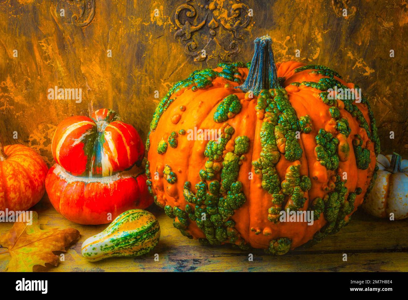 Bumpy Knuckle Head Pumpkin Stock Photo - Alamy