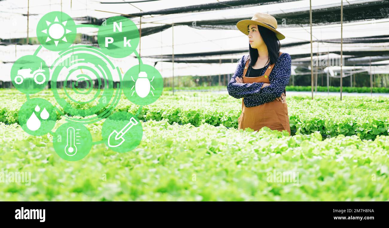 smart farm modern agricultural technology hydroponic planting in the ...