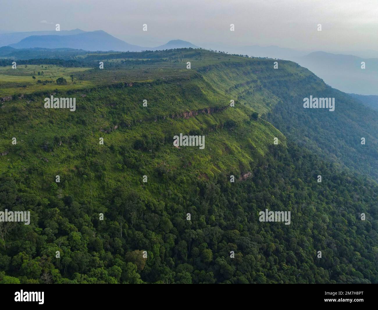 Aerial top view forest tree, Cliff large on the mountain in Asian ...