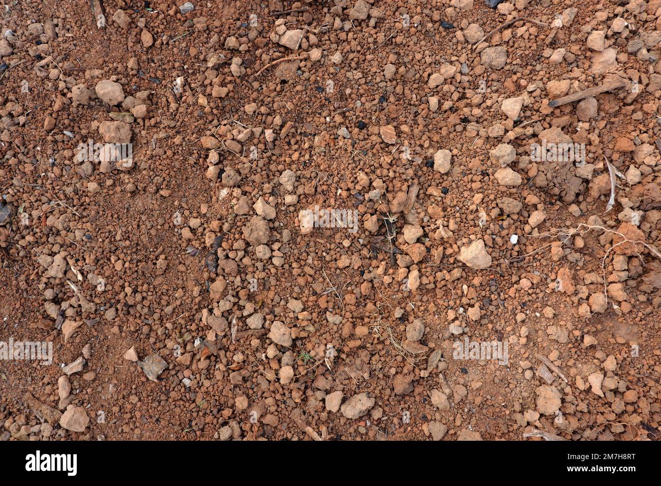 minerals nutrients in the soil quality for cultivation, ground plow ...