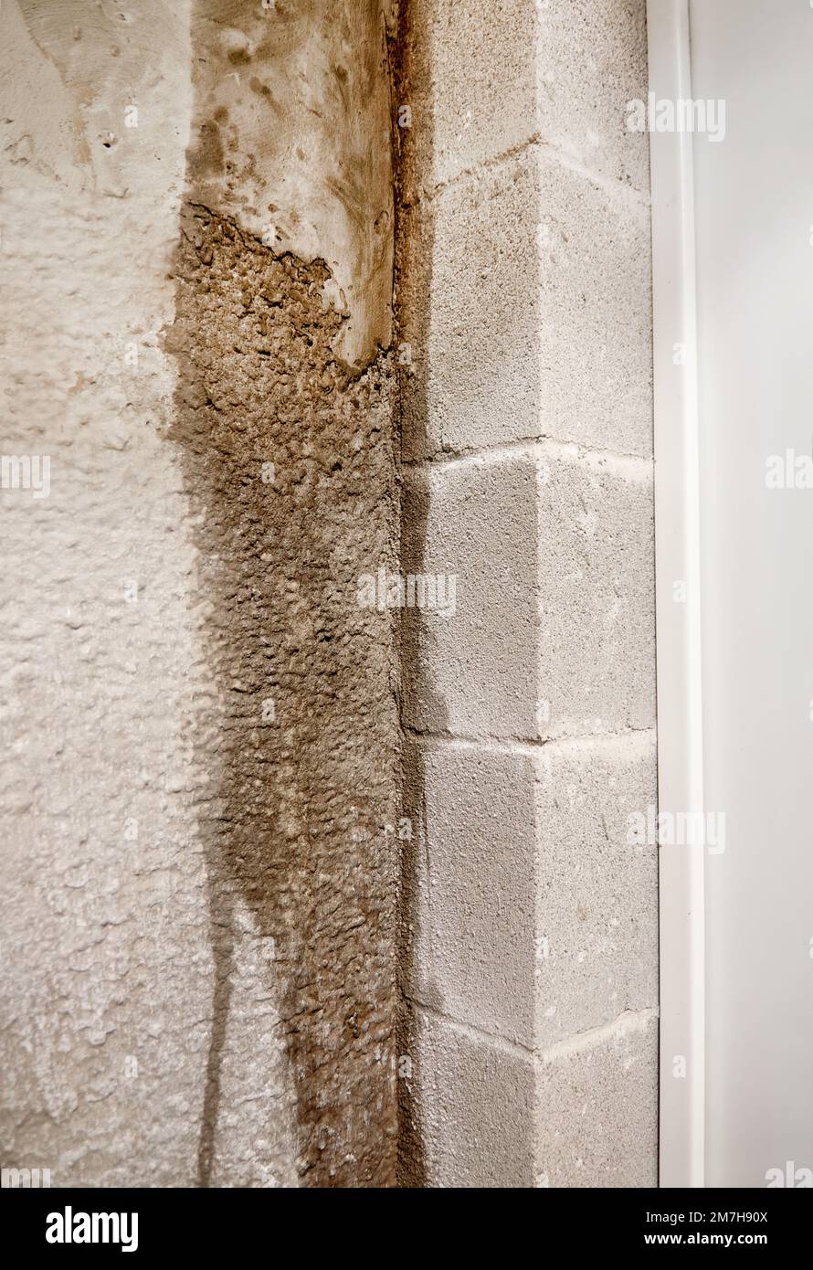 Rainwater leaks in the corner of a wall causing damage Stock Photo - Alamy