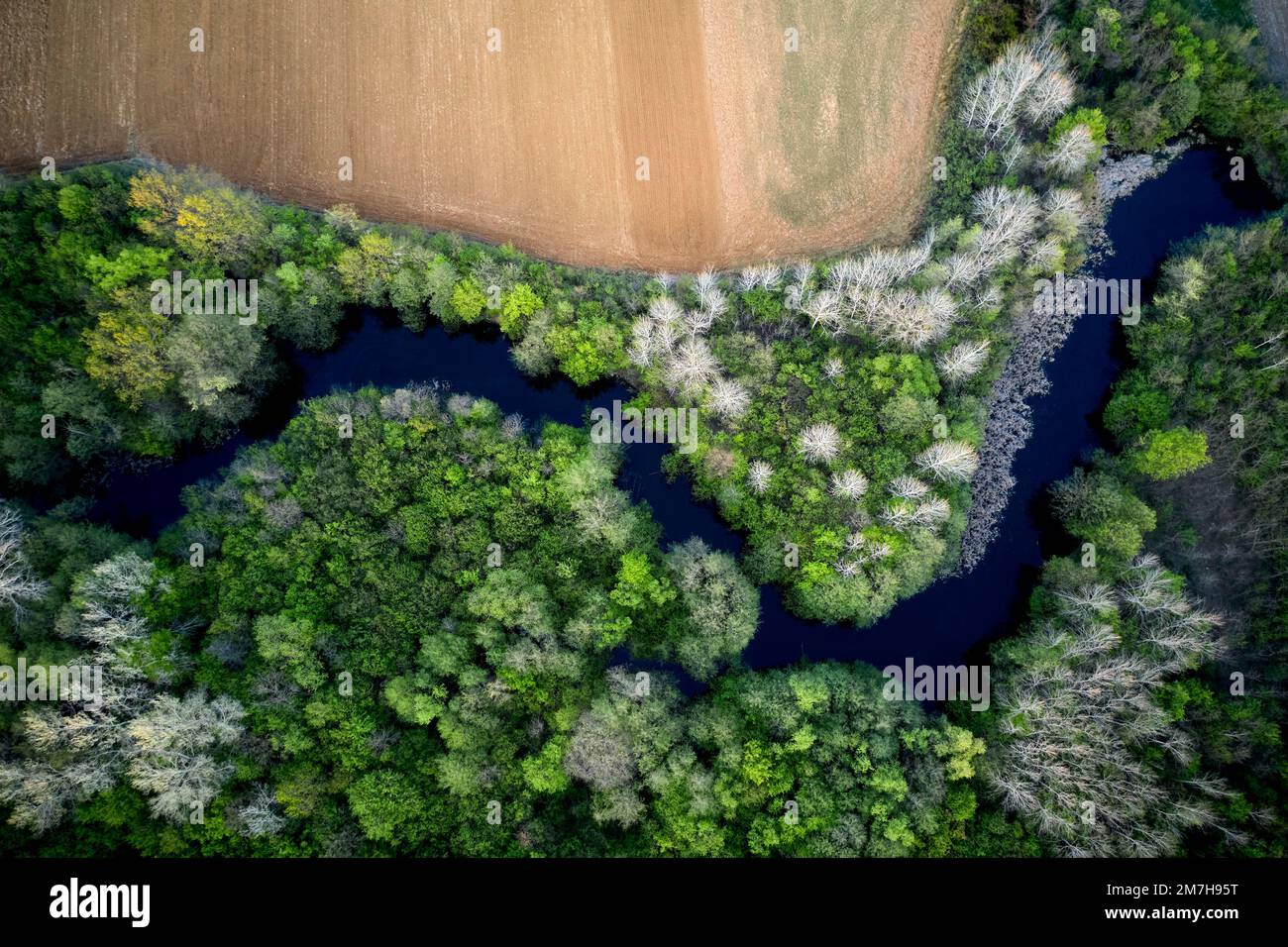 An aerial view of a narrow river between green trees in natural field ...