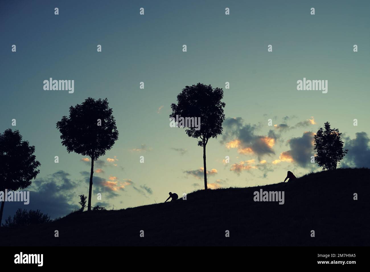 Low angle shot sunset sky hi-res stock photography and images - Alamy