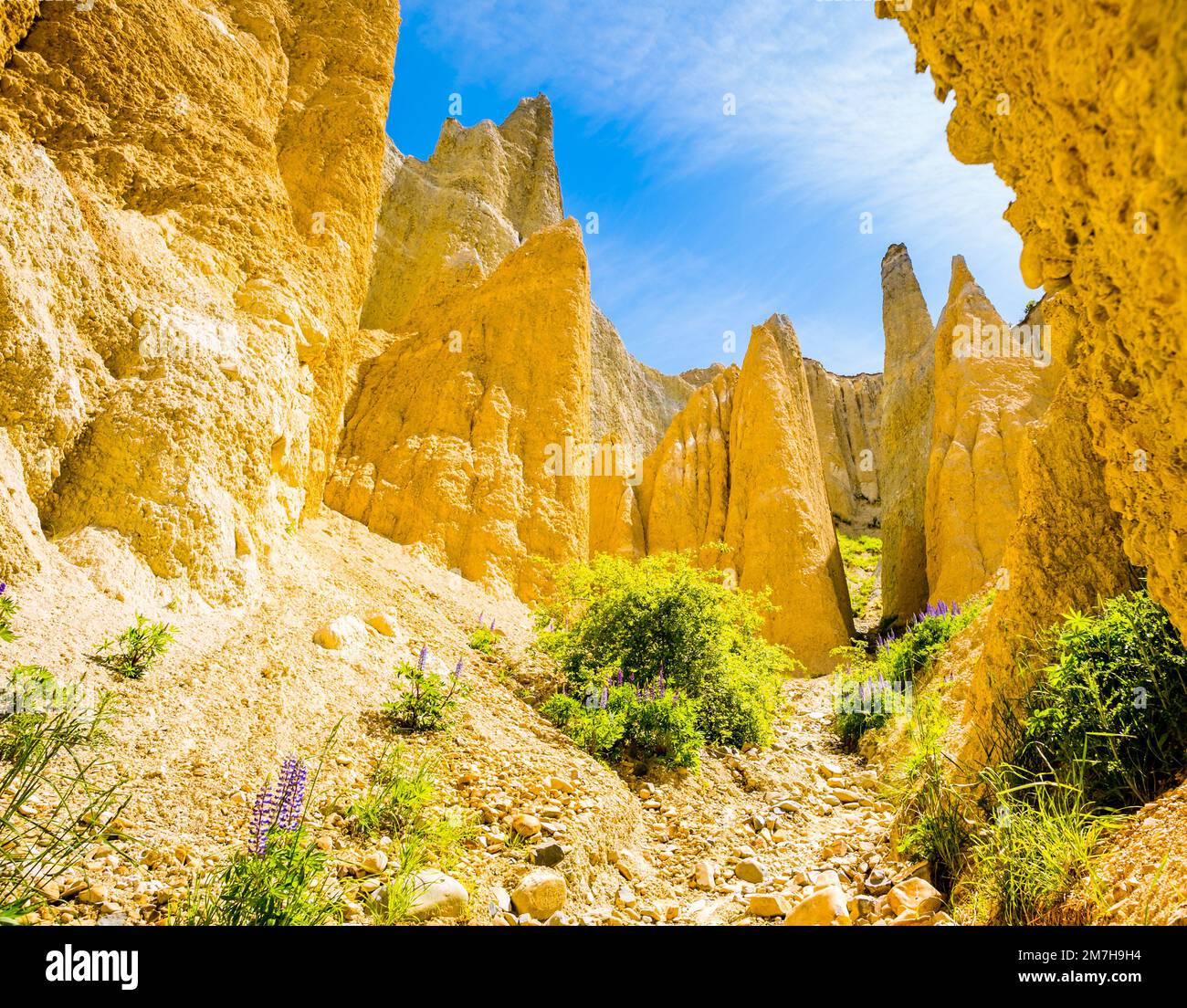 Clay Cliffs in South Island Stock Photo - Alamy
