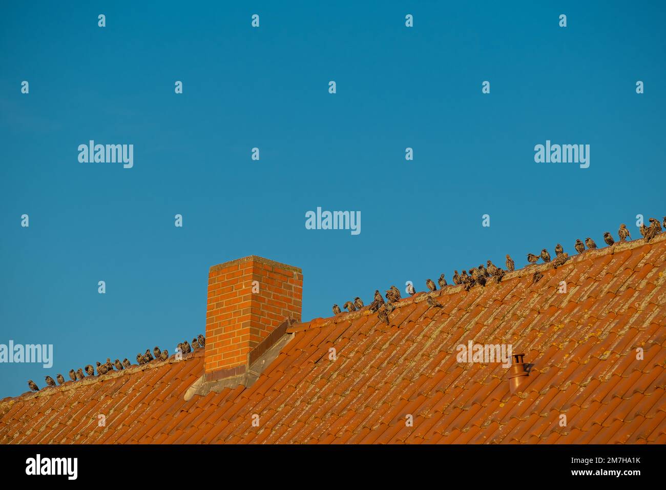 Blue tiled geometry hi-res stock photography and images - Alamy