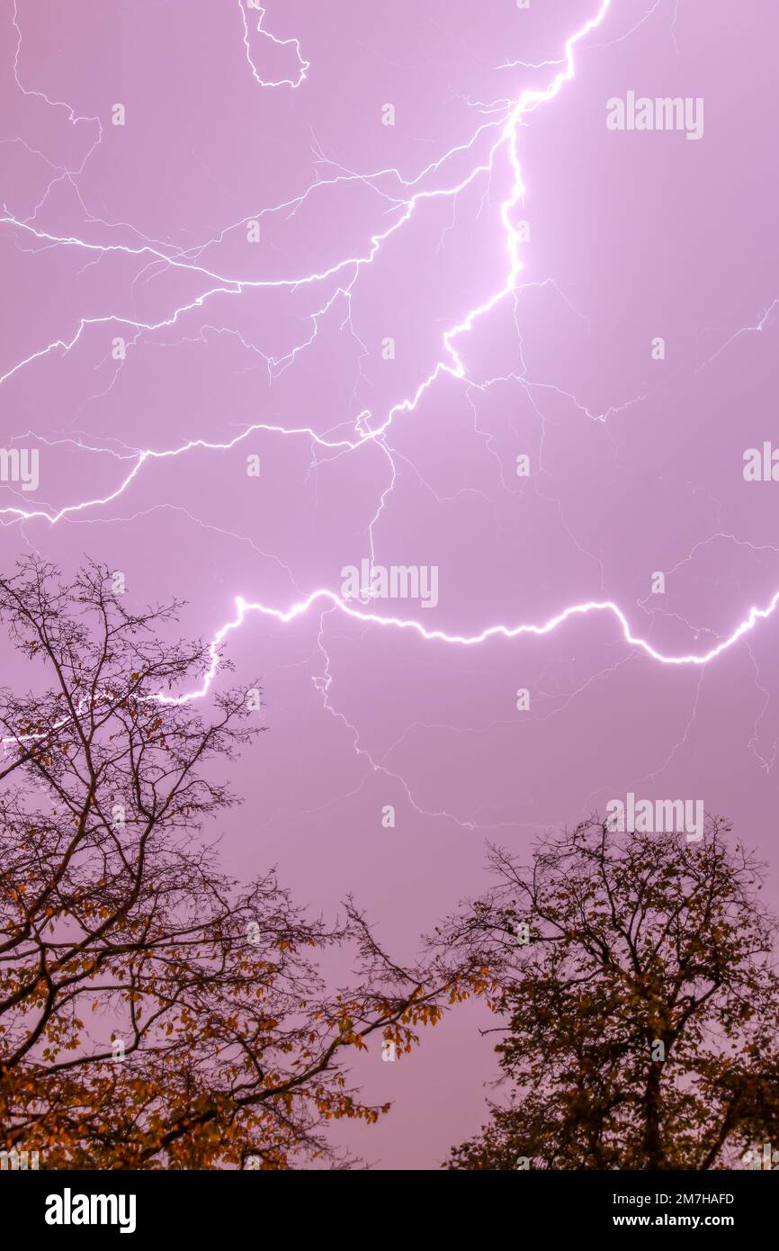 A vertical shot of lighting marks on the sky over trees Stock Photo - Alamy