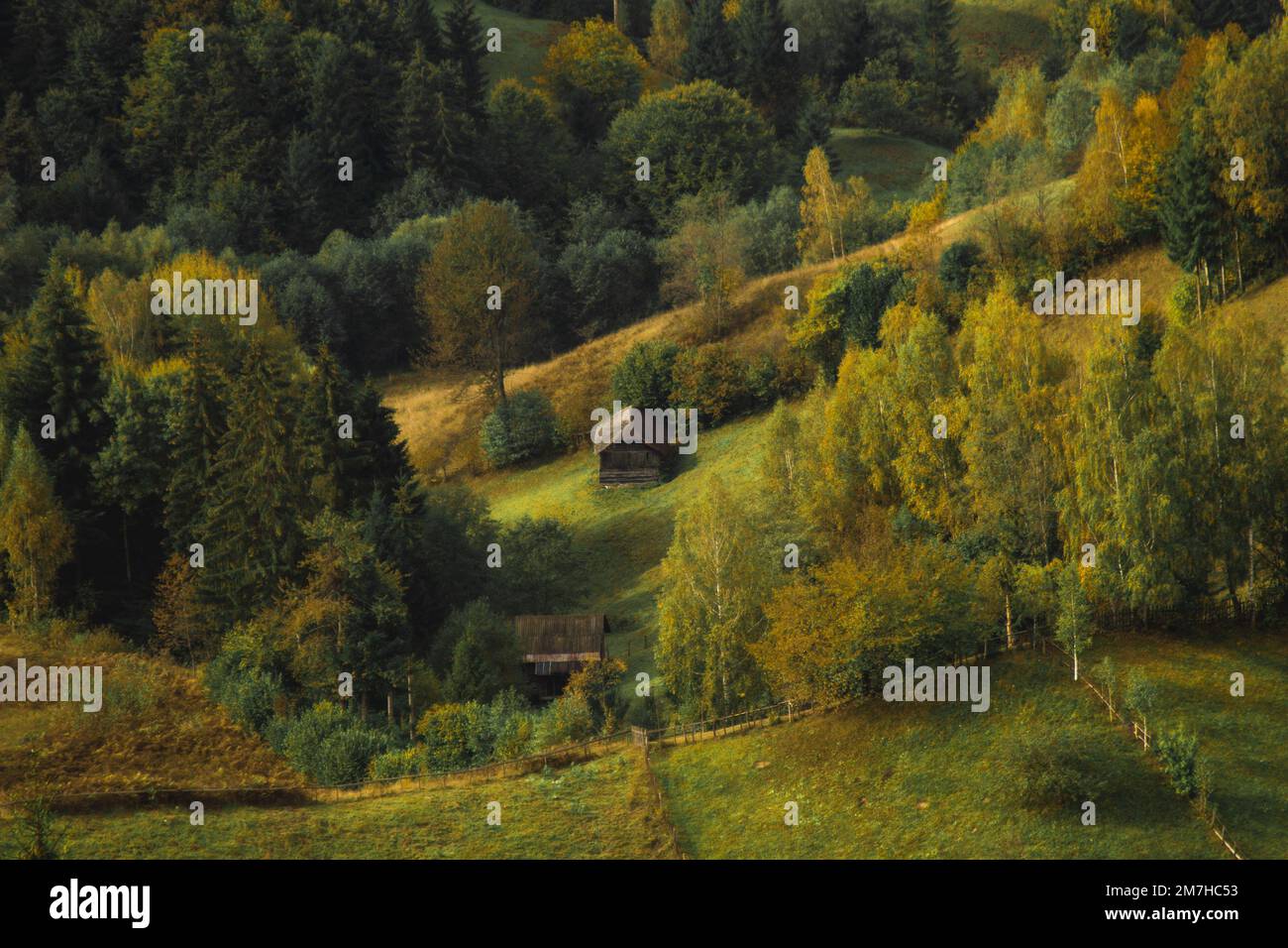 Nature, Green, Village Stock Photo - Alamy