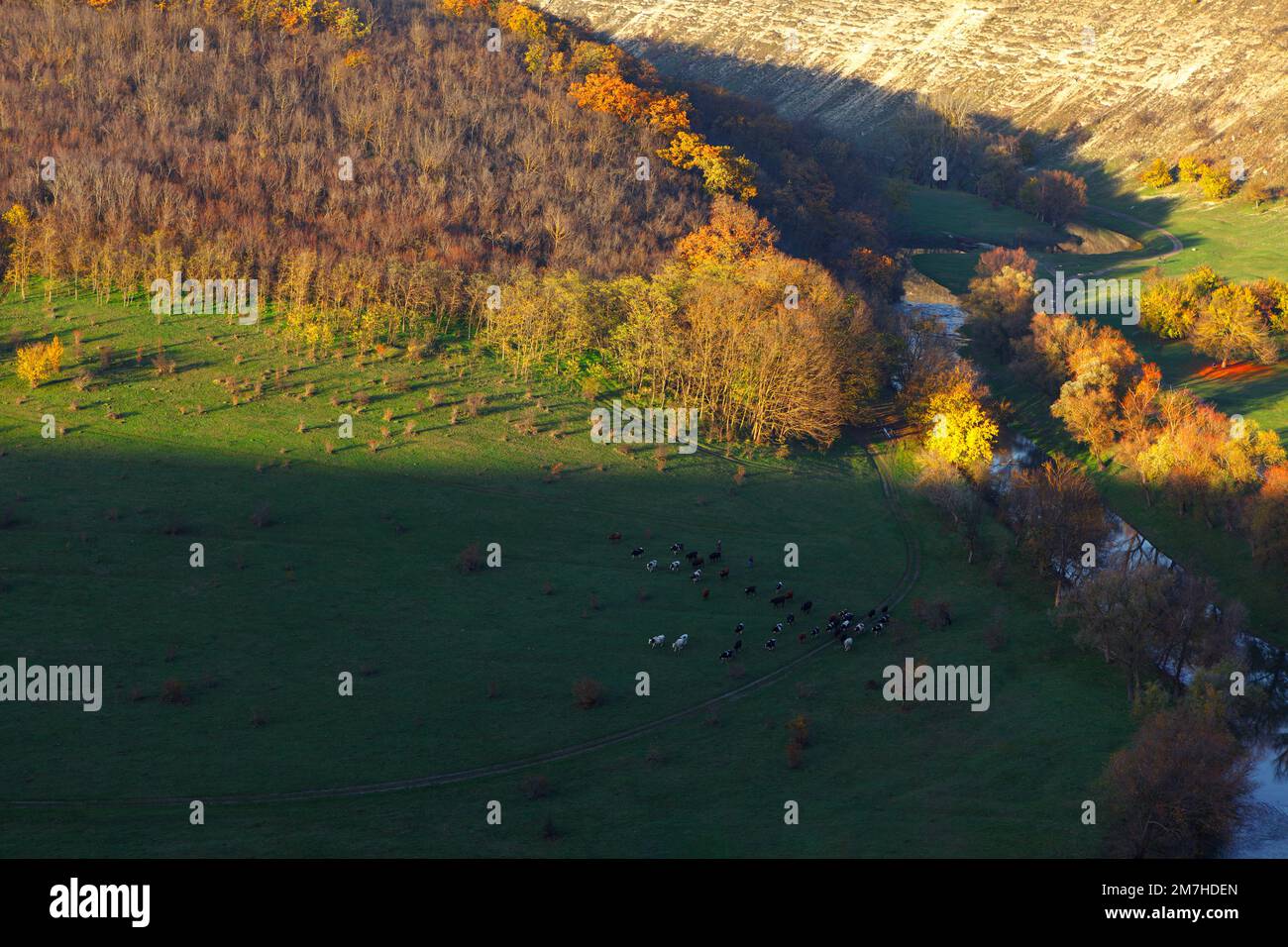 Aerial view of green pasture . Green natural landscape view from above ...