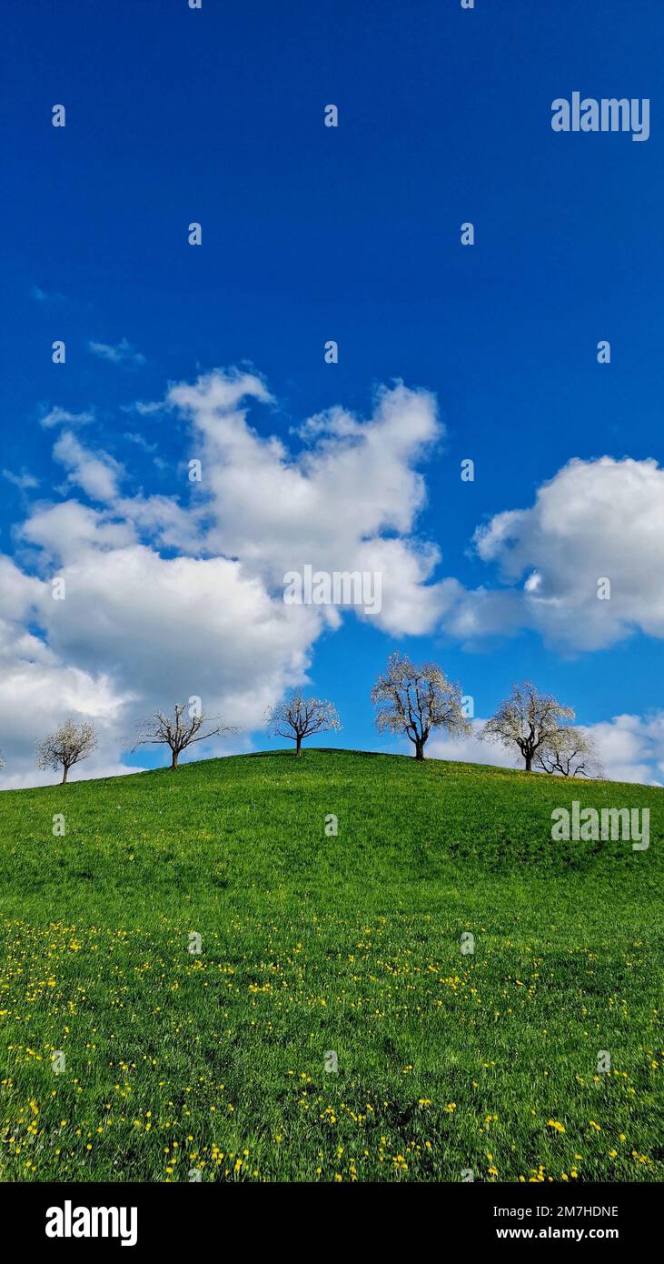 A beautiful landscape of green plains on a sunny morning Stock Photo ...