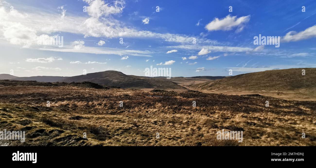 A beautiful landscape of dry plains on a sunny morning Stock Photo - Alamy