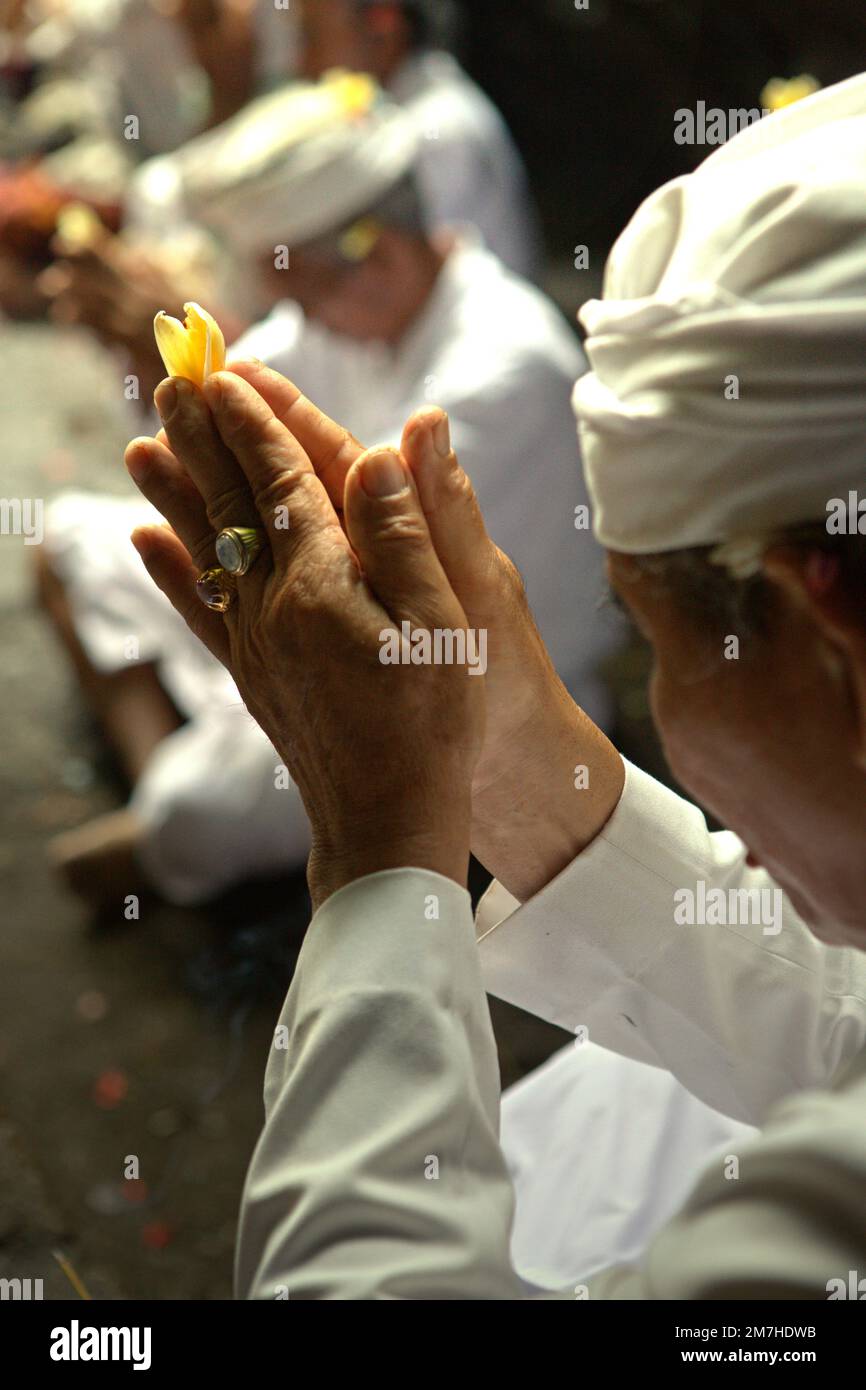 A Balinese clan is praying together during a ritual to honor and purify ...