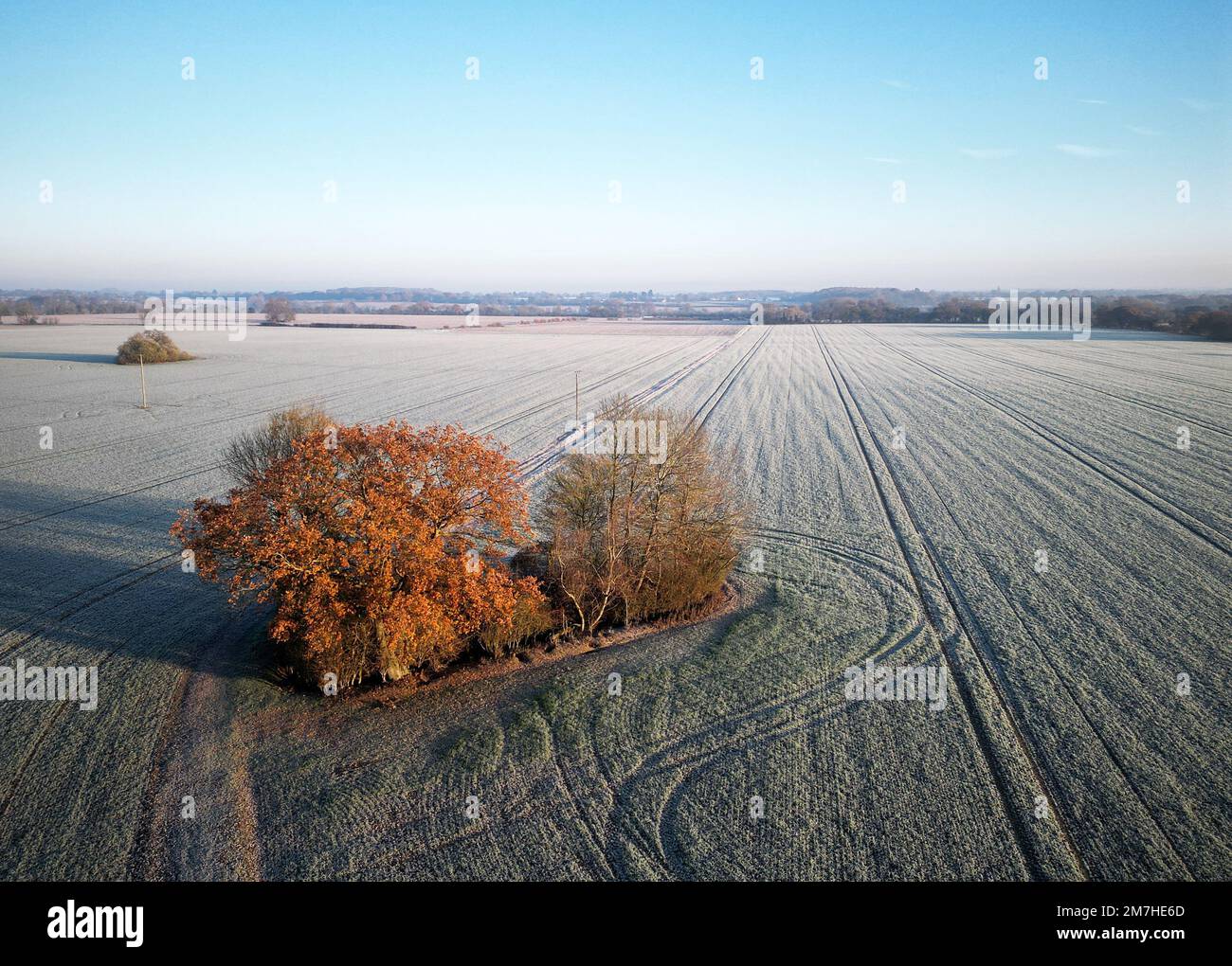 An aerial view of tree in frosty field in Essex Stock Photo - Alamy