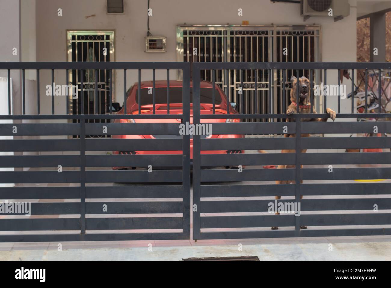 Aggressive dog garden gate hi-res stock photography and images - Alamy