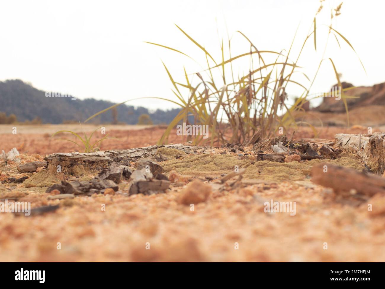 scene around the deserted land due to deforestation and earth mining ...