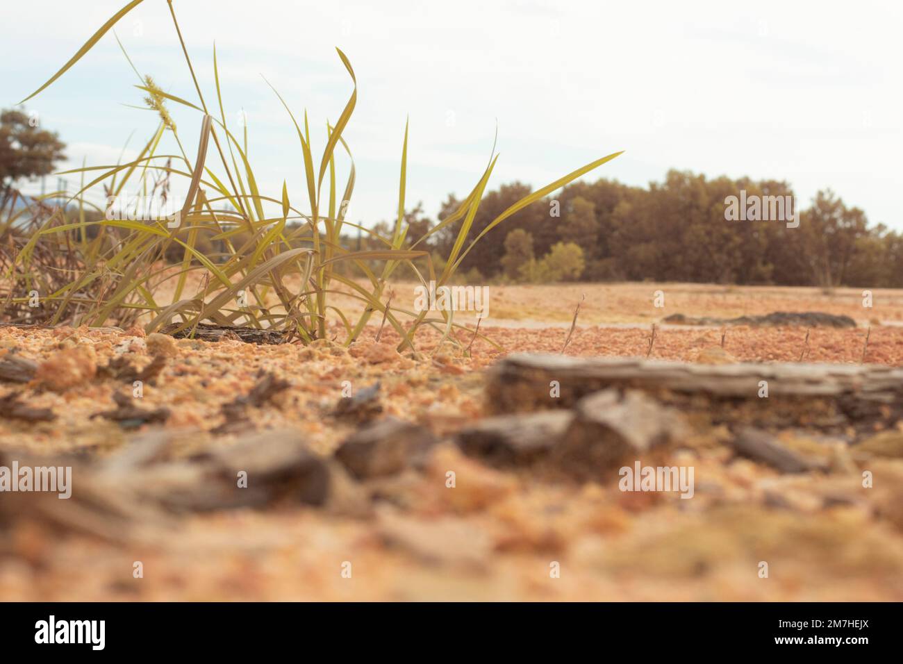 scene around the deserted land due to deforestation and earth mining ...