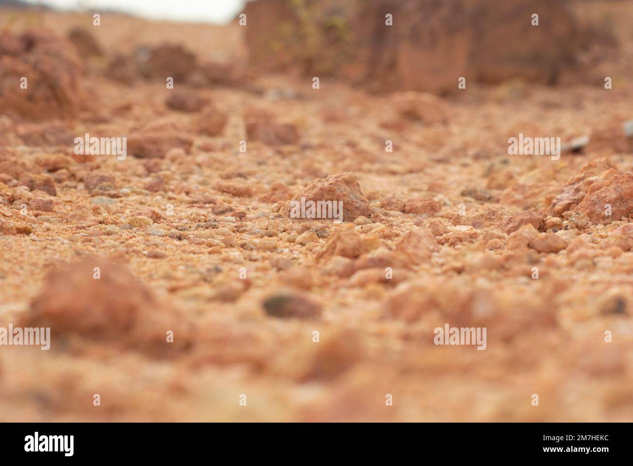 scene around the deserted land due to deforestation and earth mining ...