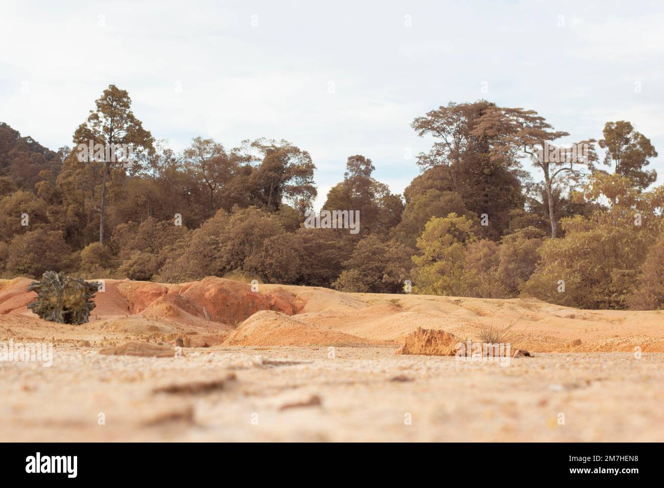 scene around the deserted land due to deforestation and earth mining ...