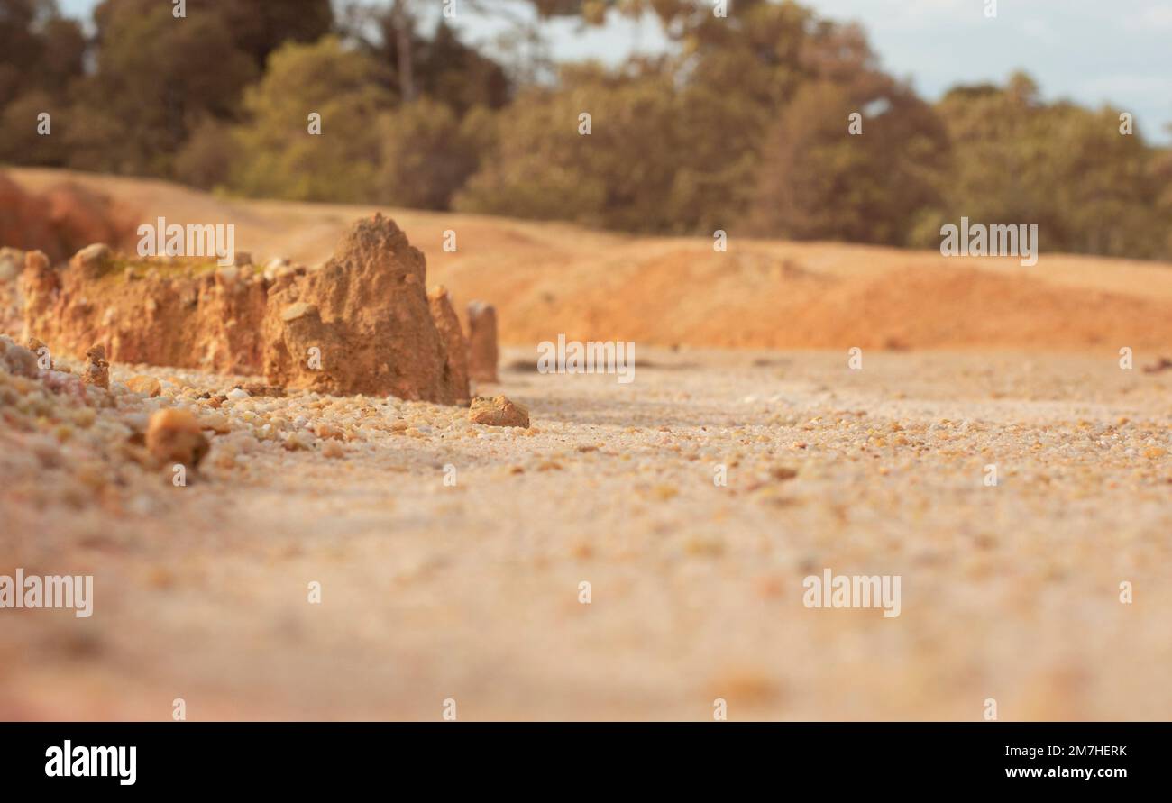 scene around the deserted land due to deforestation and earth mining ...