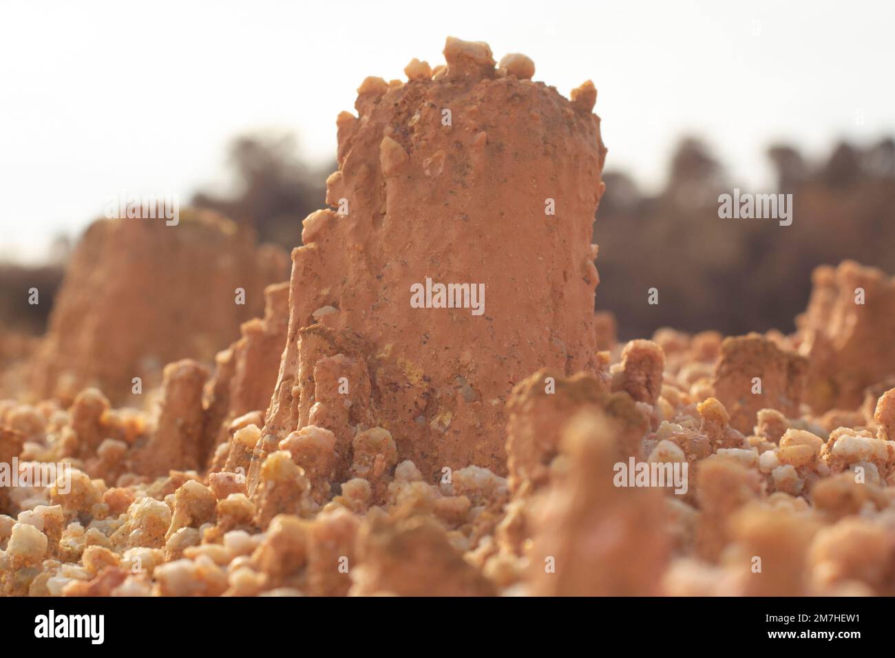 scene around the deserted land due to deforestation and earth mining ...
