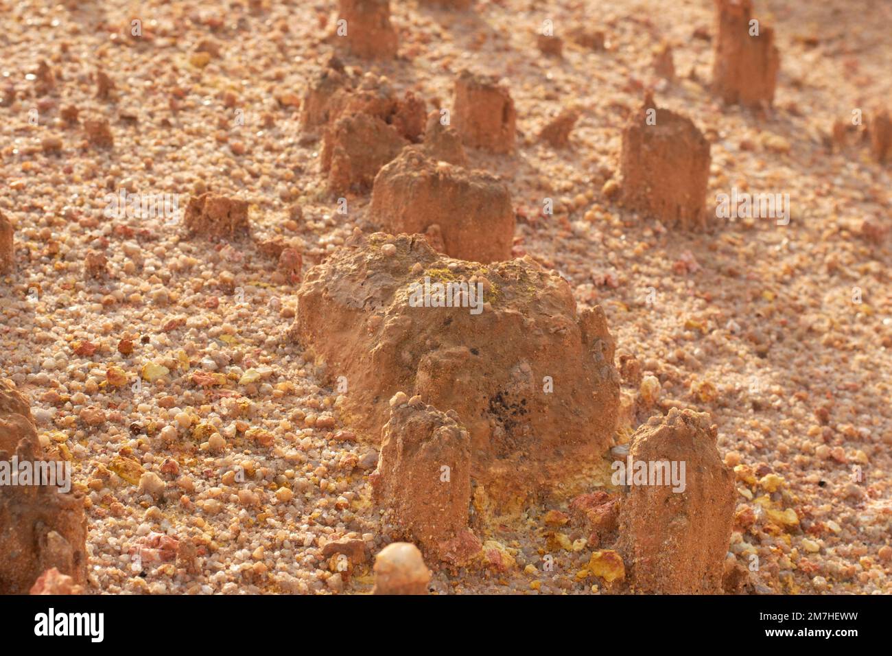 scene around the deserted land due to deforestation and earth mining ...