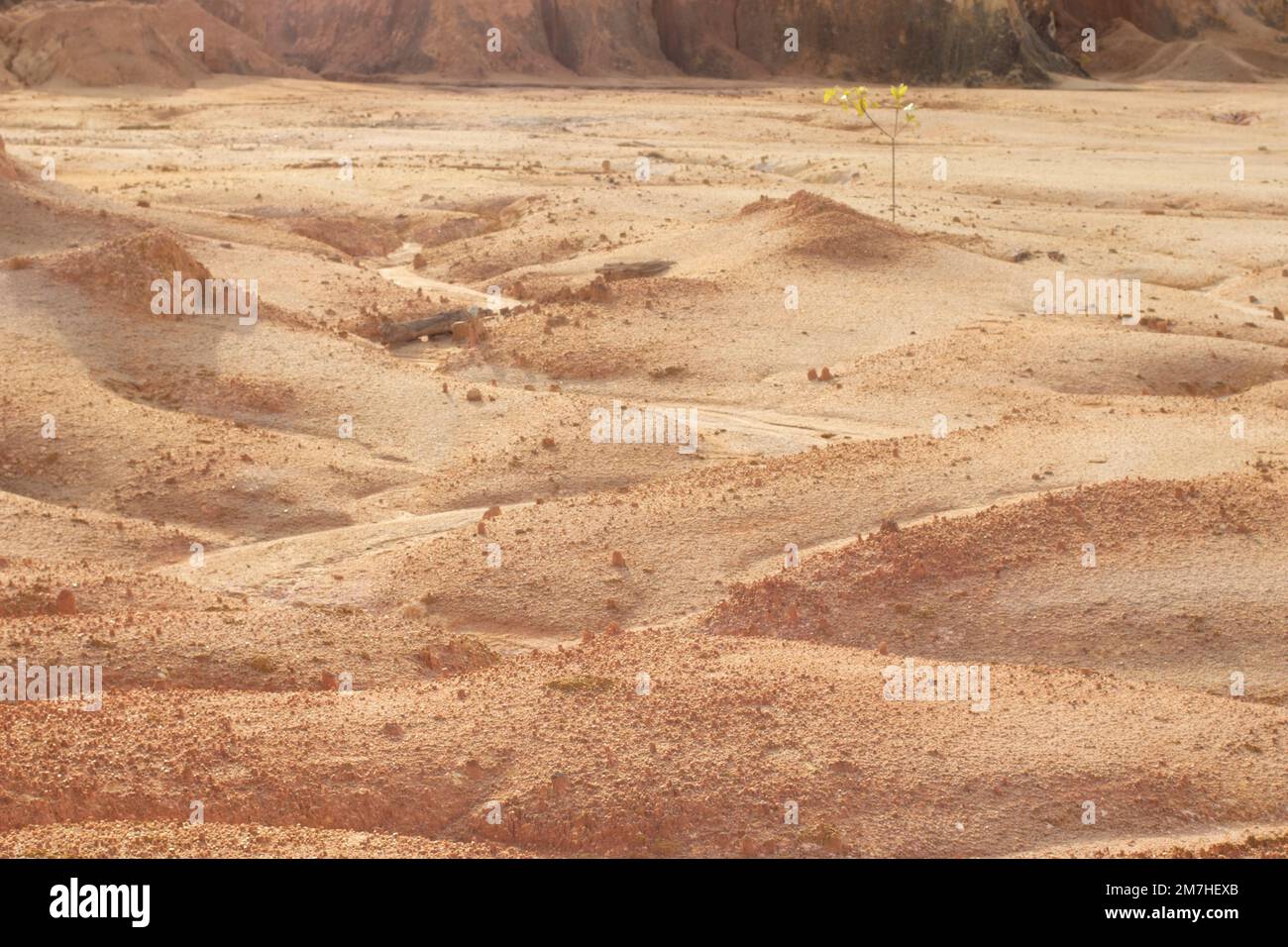 scene around the deserted land due to deforestation and earth mining ...