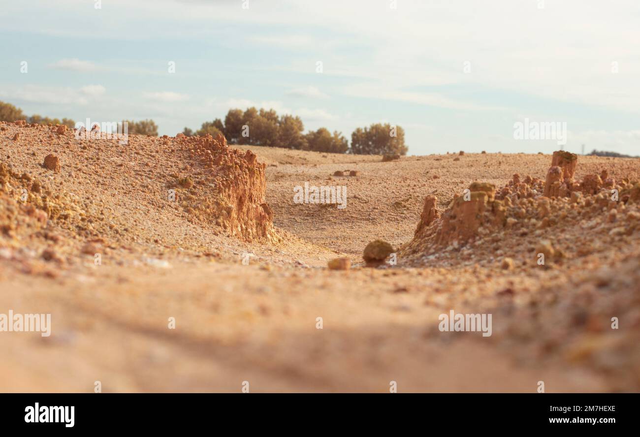 scene around the deserted land due to deforestation and earth mining ...