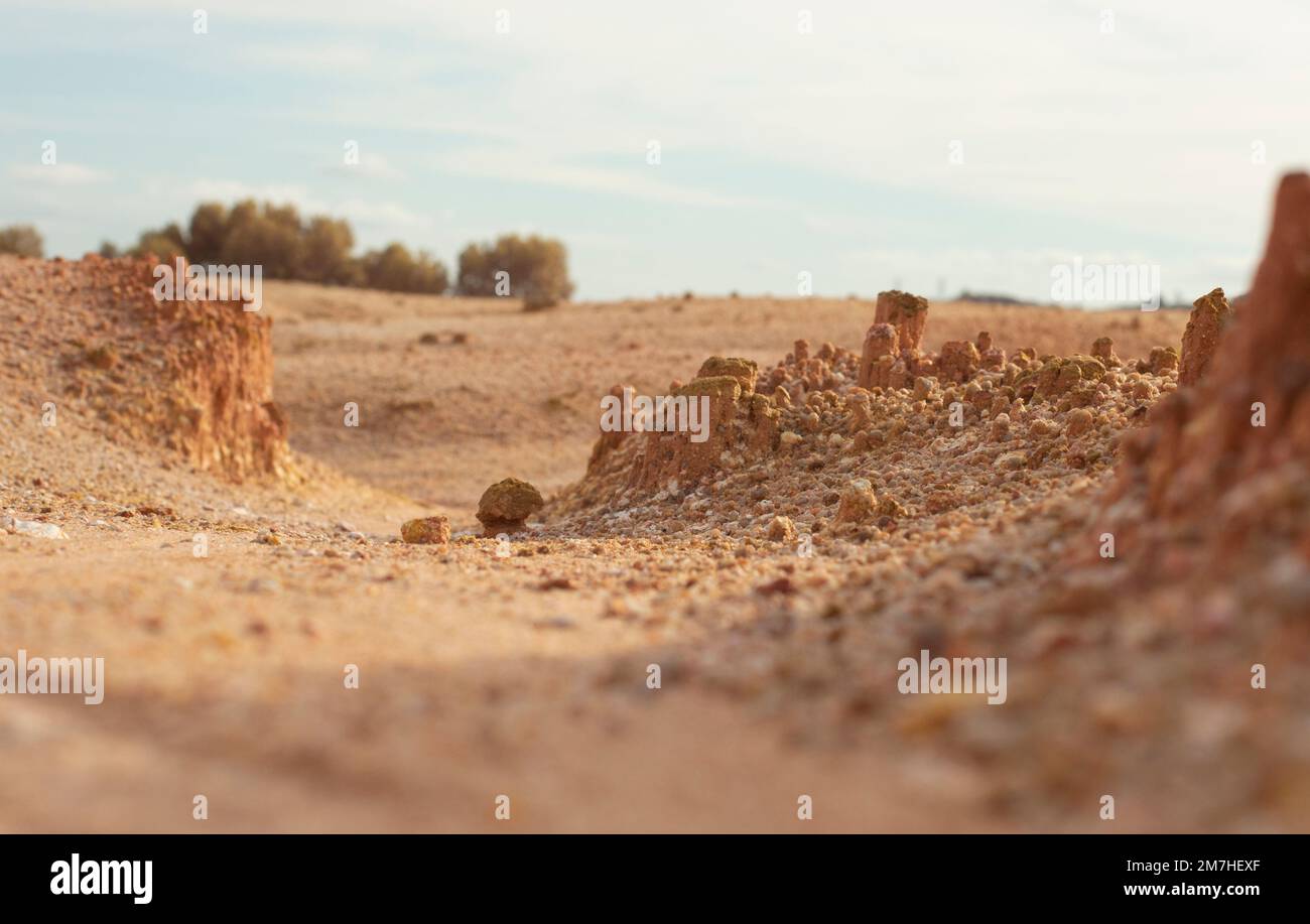 scene around the deserted land due to deforestation and earth mining ...