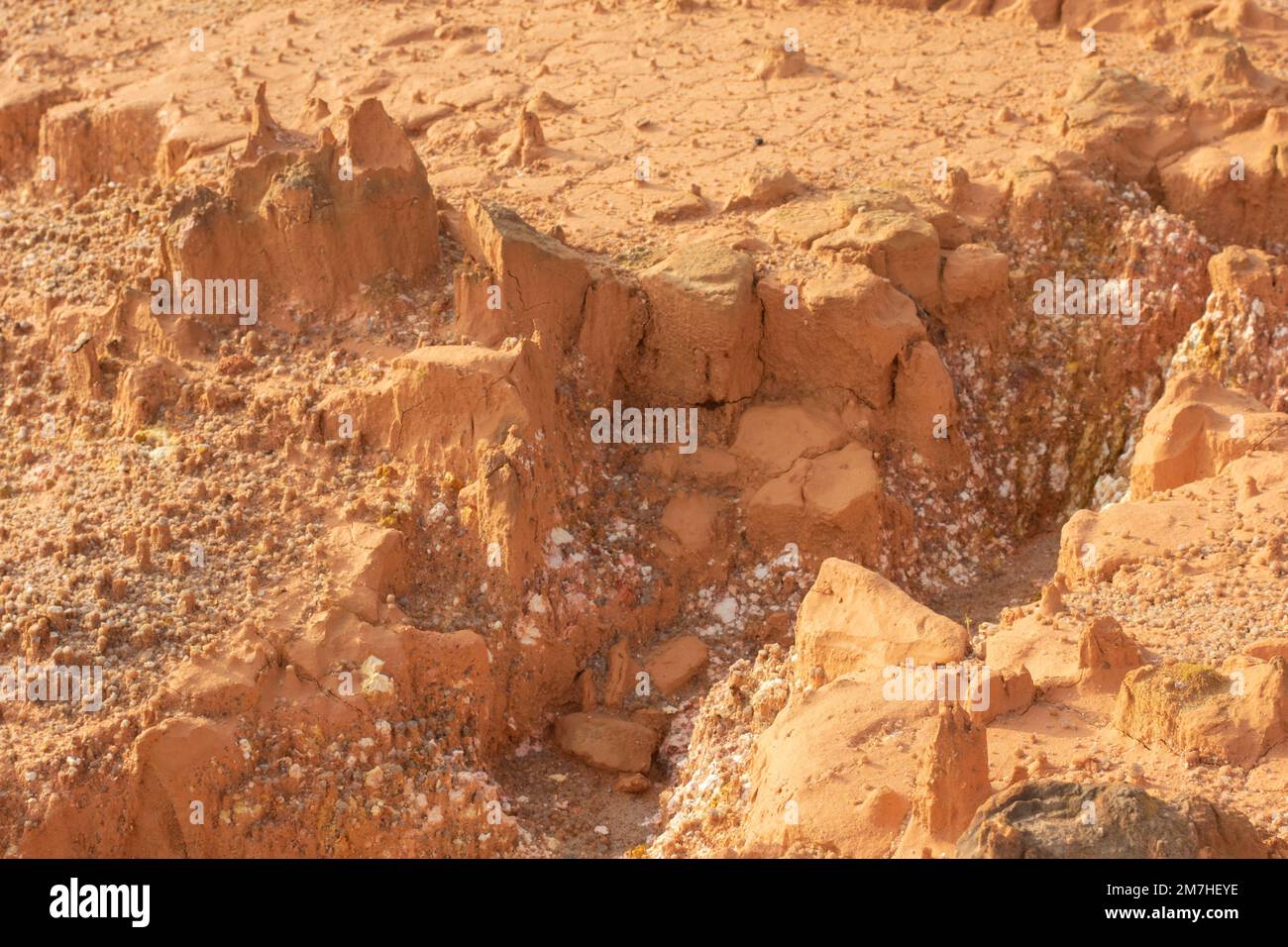 scene around the deserted land due to deforestation and earth mining ...