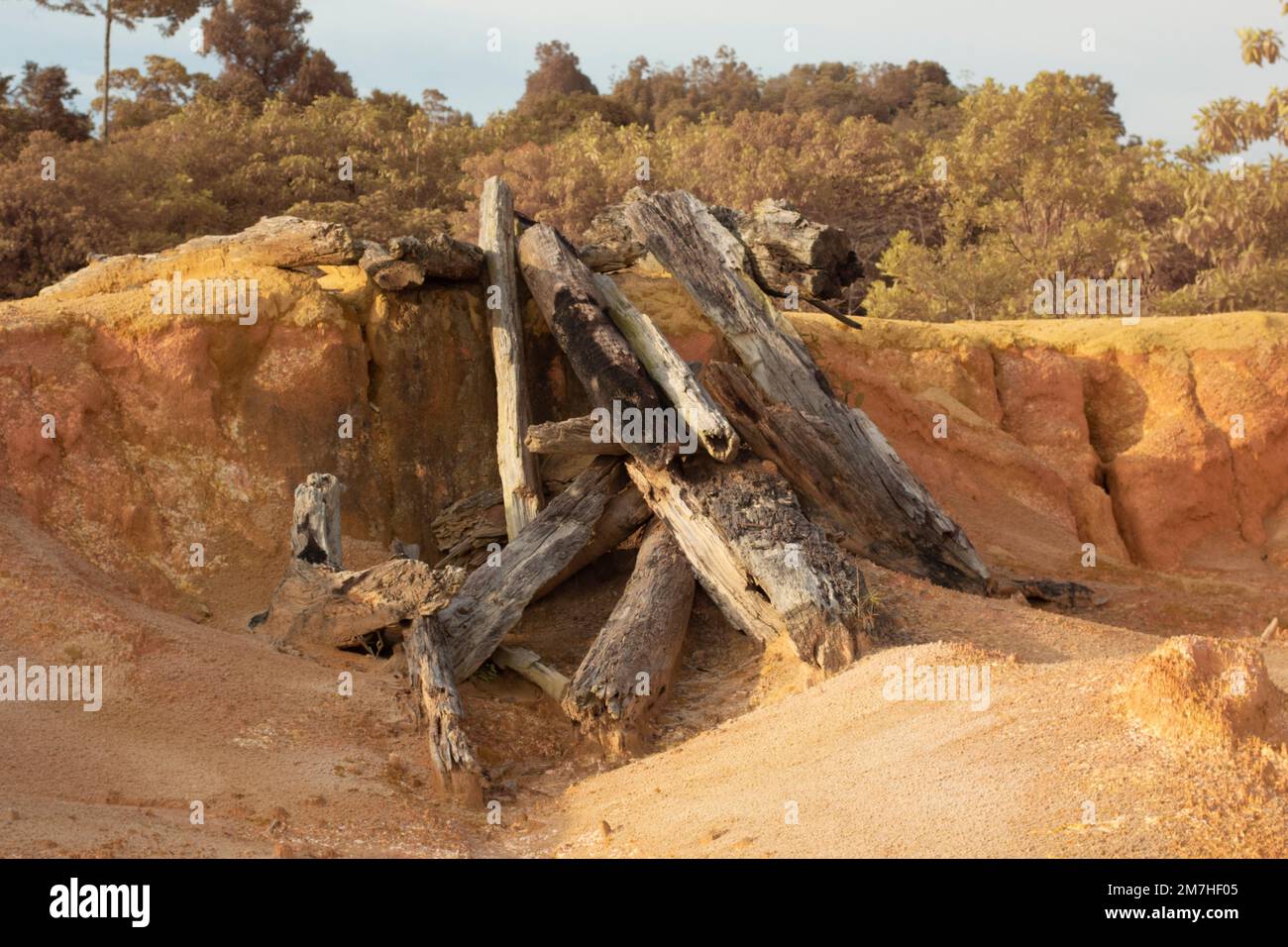 scene around the deserted land due to deforestation and earth mining ...