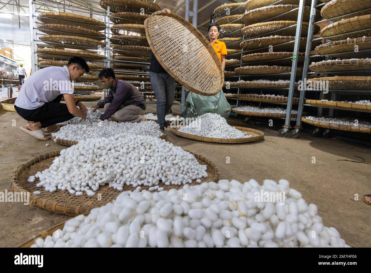 Silk factory in Da Lat, Vietnam Stock Photo - Alamy