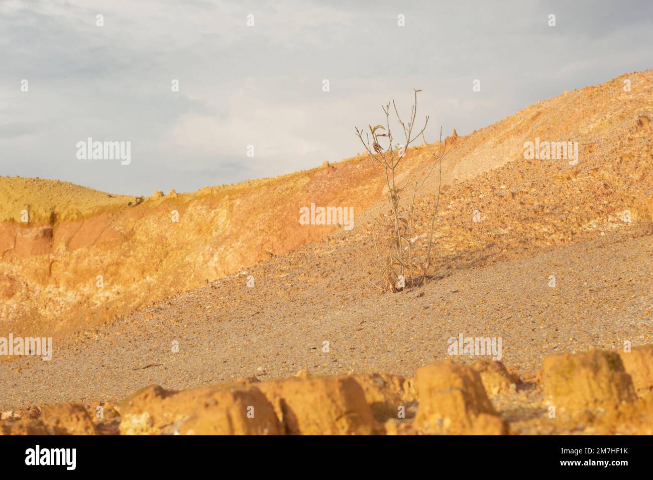 scene around the deserted land due to deforestation and earth mining ...