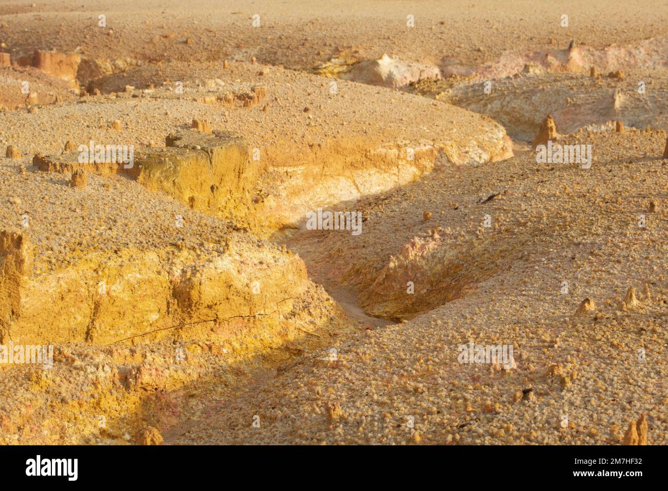 scene around the deserted land due to deforestation and earth mining ...