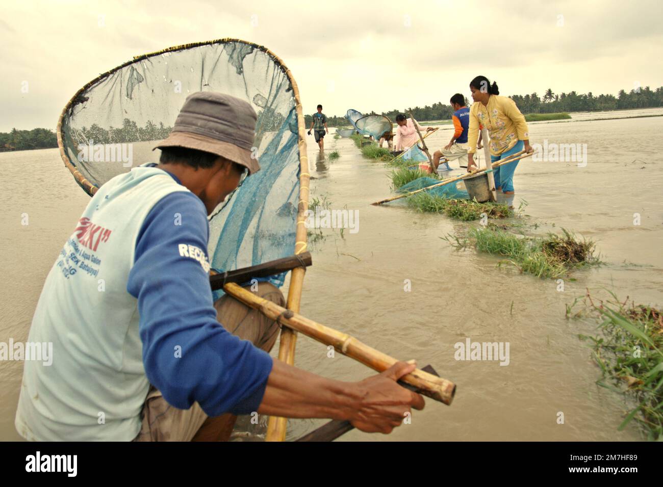 People fishing on a flooded rice field with pushnets during rainy ...