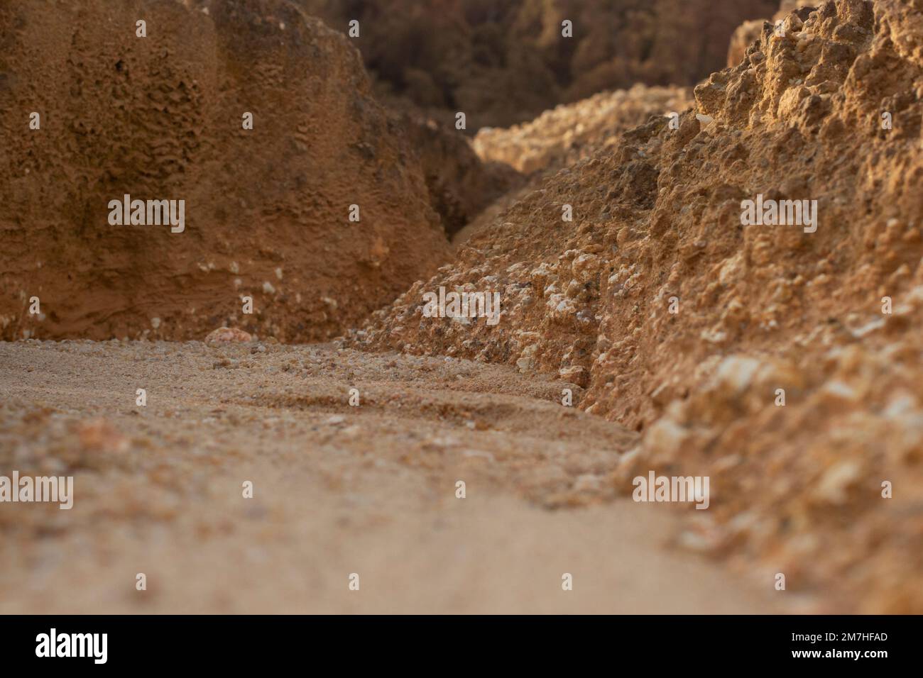 scene around the deserted land due to deforestation and earth mining ...