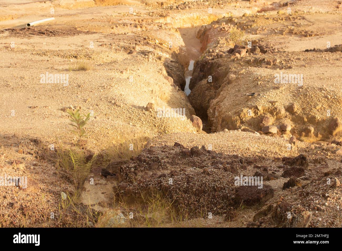 scene around the deserted land due to deforestation and earth mining ...