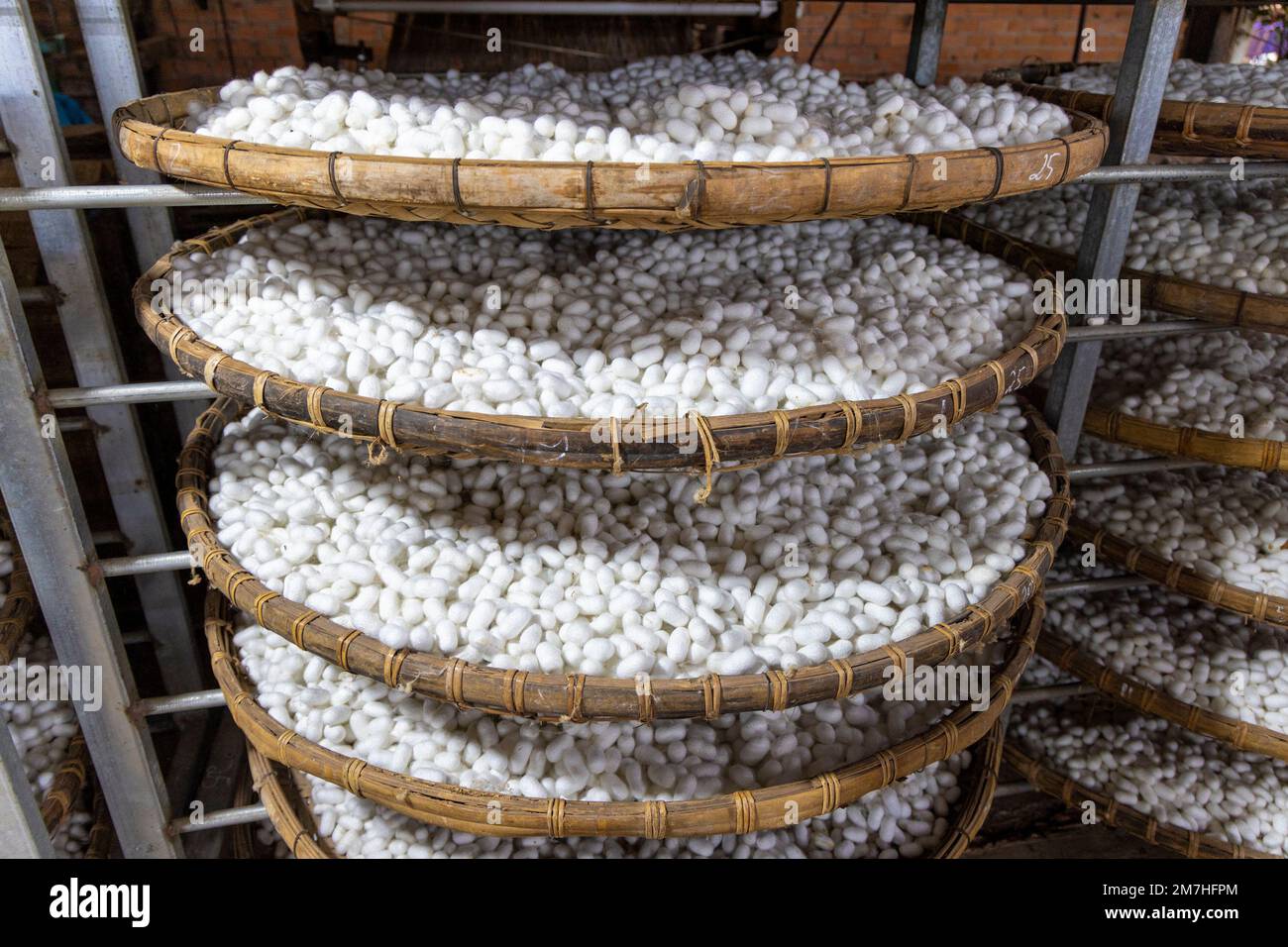 Silk cocoons on a traditional basket in a silk factory, Vietnam Stock ...